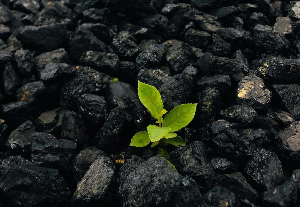 Biochar : La Technologie Secrète qui Pourrait Révolutionner la Lutte ...
