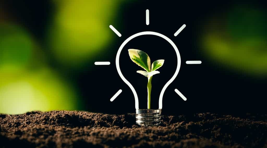 Tunisie : un concours national pour propulser les startups climatiques ...